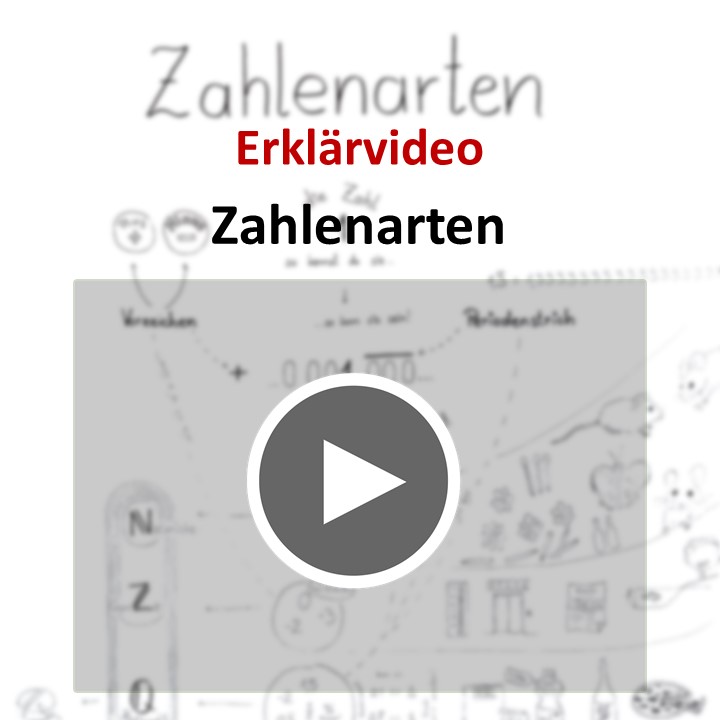 SB4 Zahlenarten – Schaubildvideo – myKiEP